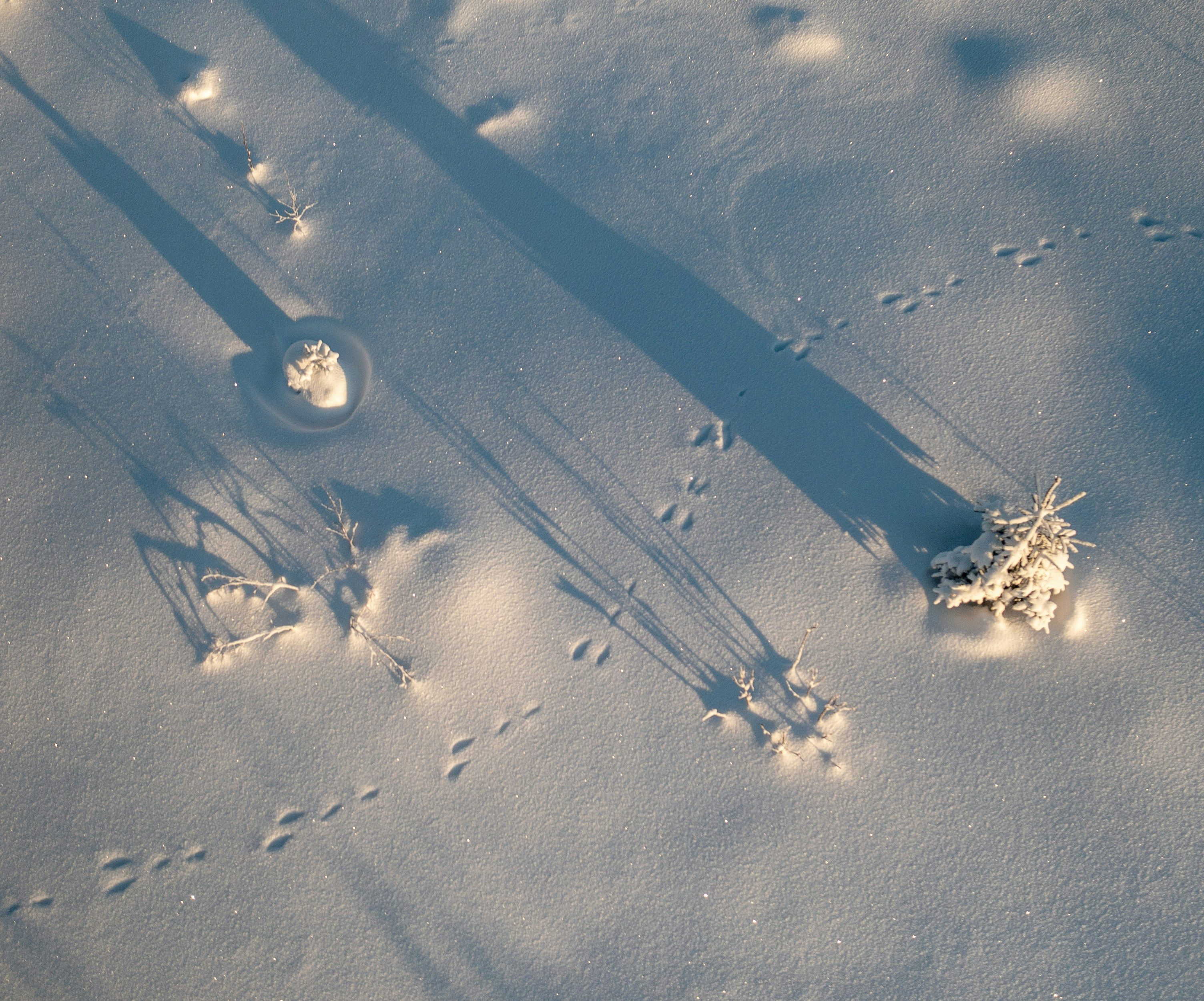 21 Winter Activities to Enjoy in Your Backyard