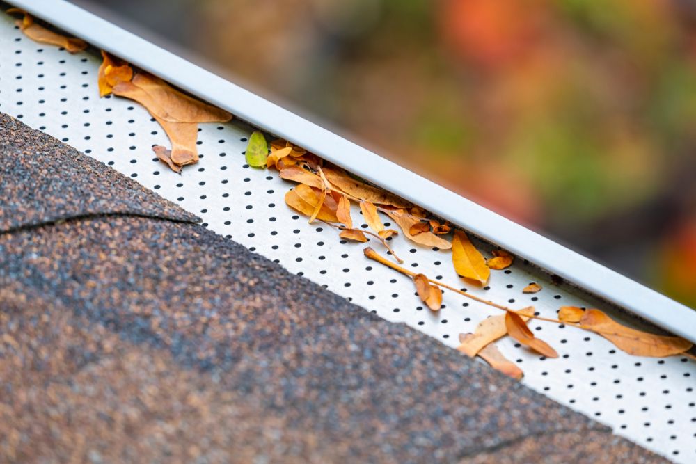 9 Gutter Alternative Ideas You Should Consider for Your Home