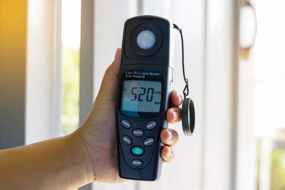 Guide to Using Natural Light For Your Houseplants