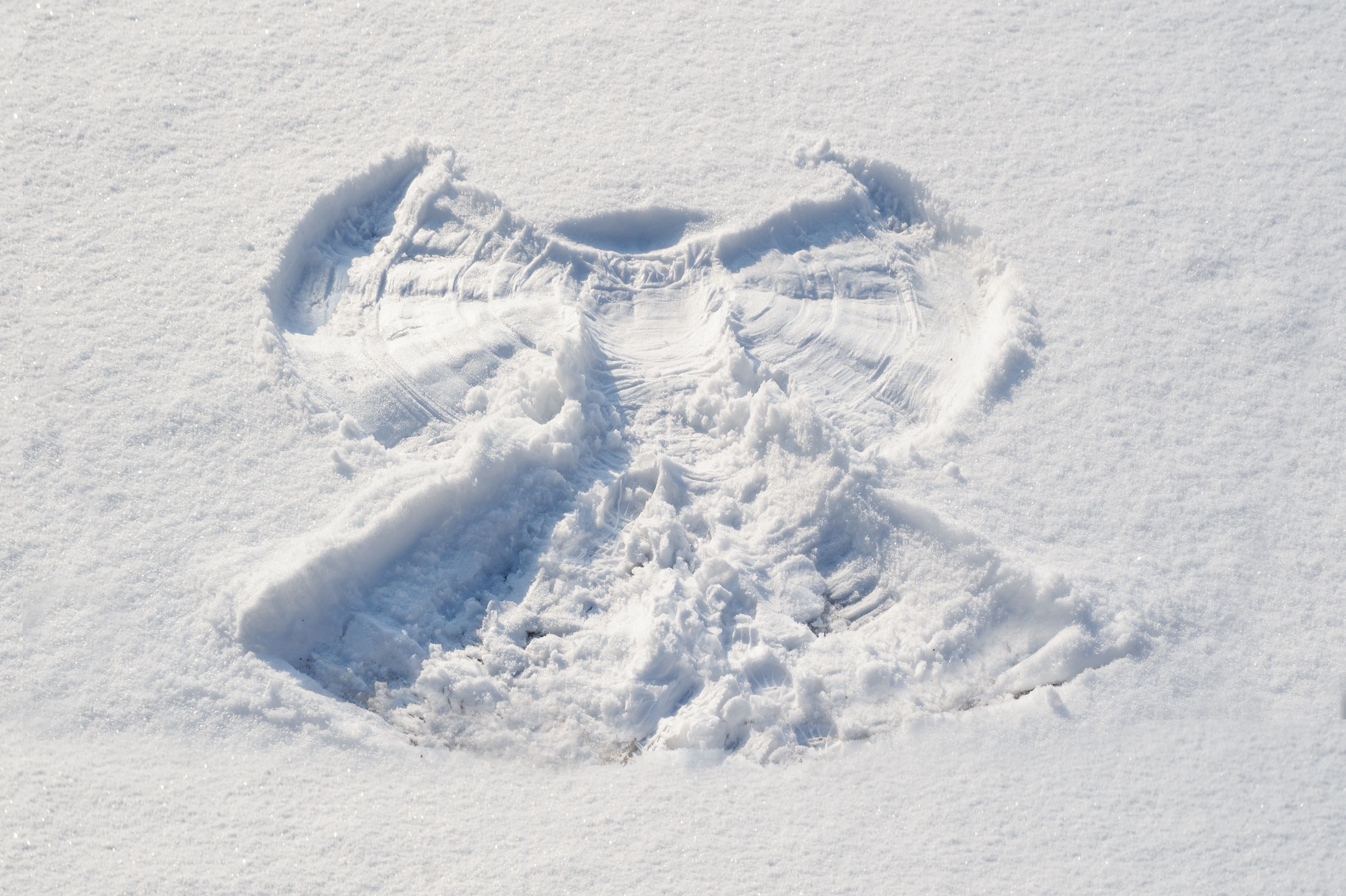 21 Winter Activities to Enjoy in Your Backyard