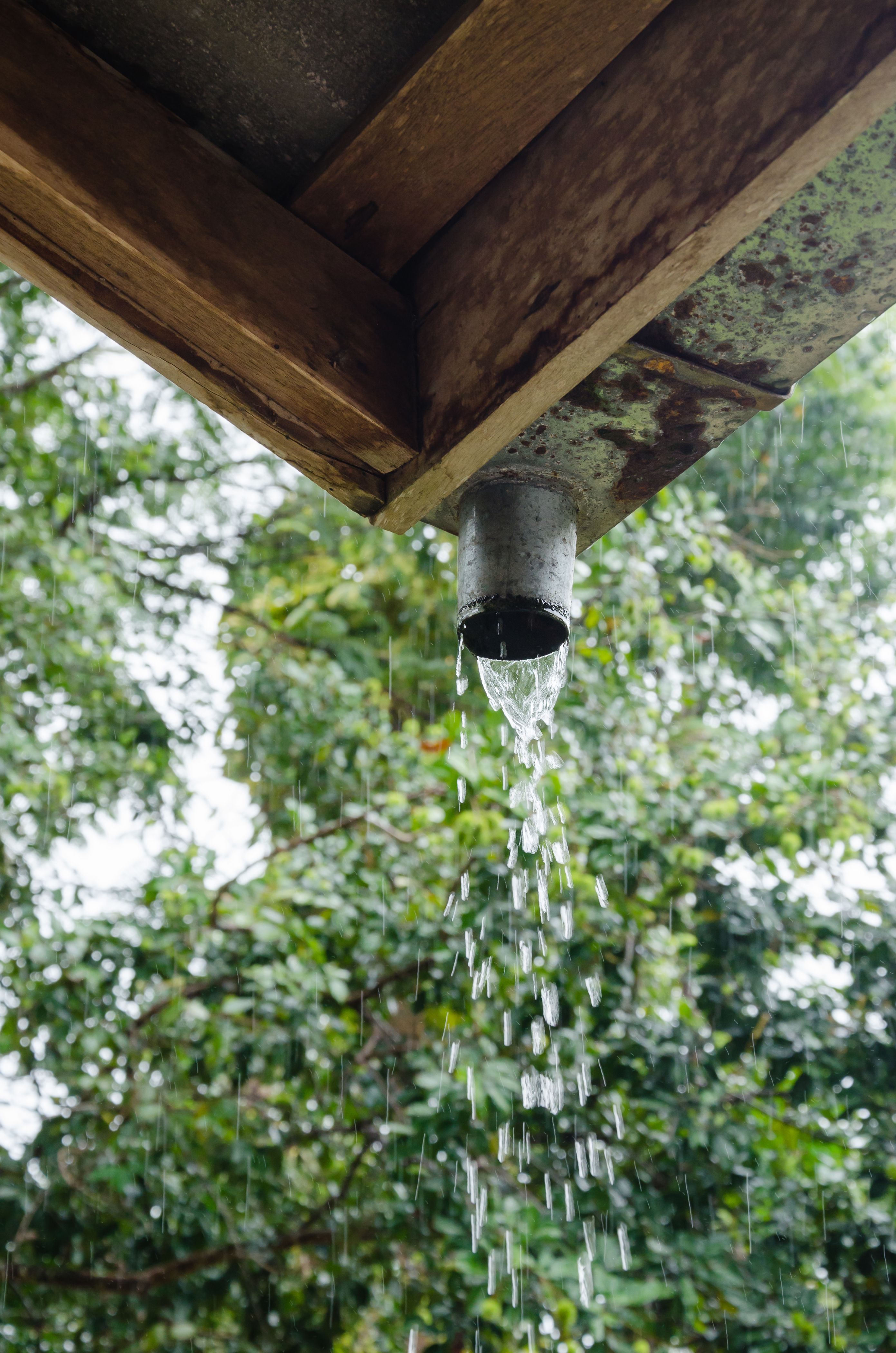 What Is a Rain Chain and Why You Should Choose This Downspout Alternative