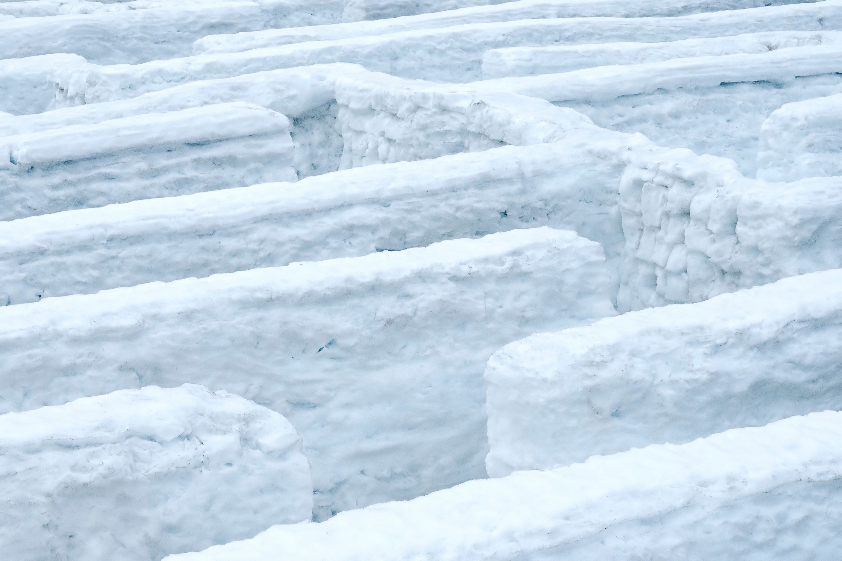 21 Winter Activities to Enjoy in Your Backyard