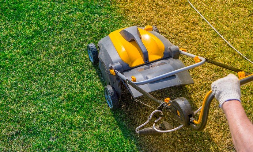 Dethatching Mistakes That Can Ruin Your Lawn