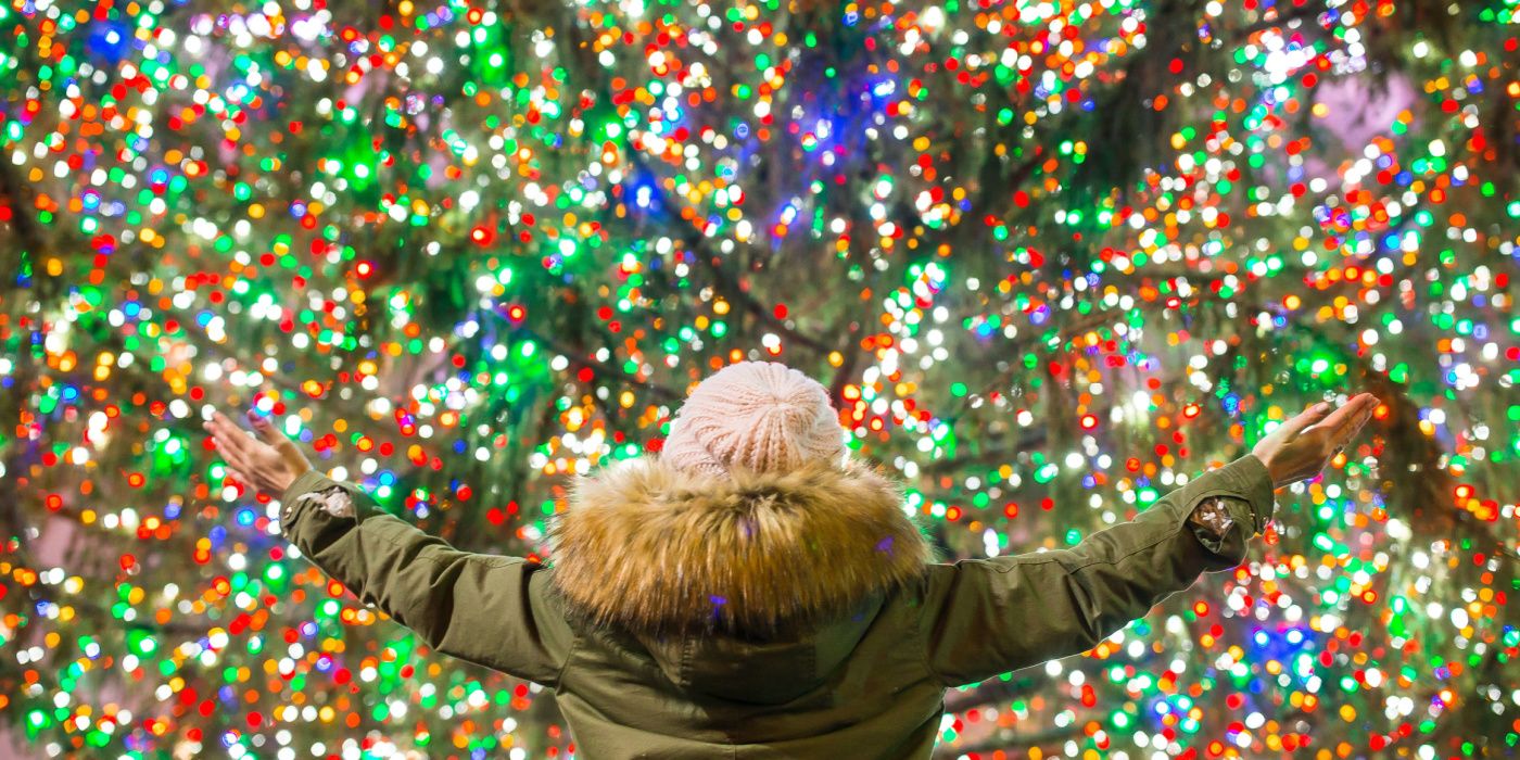 Wrapping Your Trees With Outdoor Lights: How to Get It Right