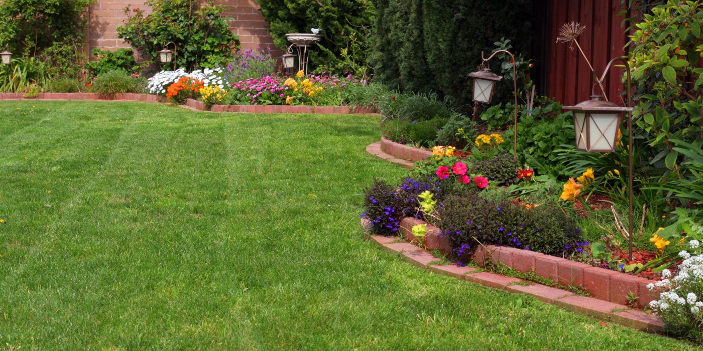 How to Design a Rain Garden to Help Control Water Runoff on Your Property