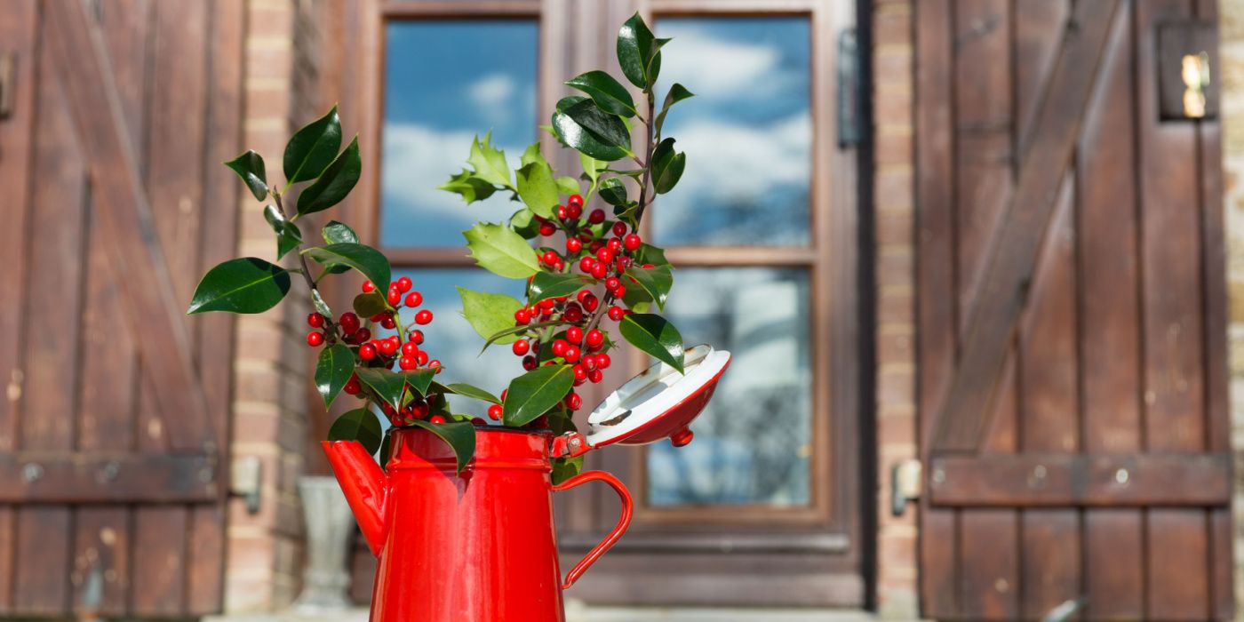 Get Festive With Christmas Flowers and Plants