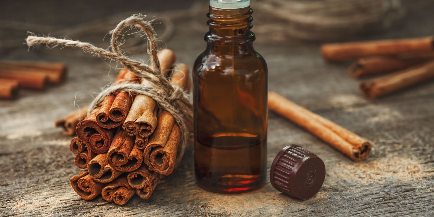 Things You Have Around the House That Repel Snakes