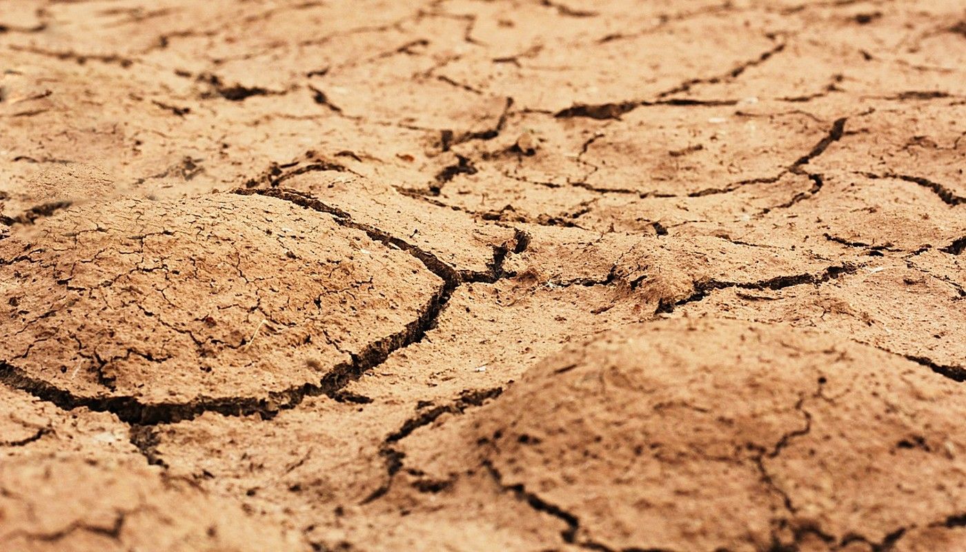 The Most Common Types of Garden Soil