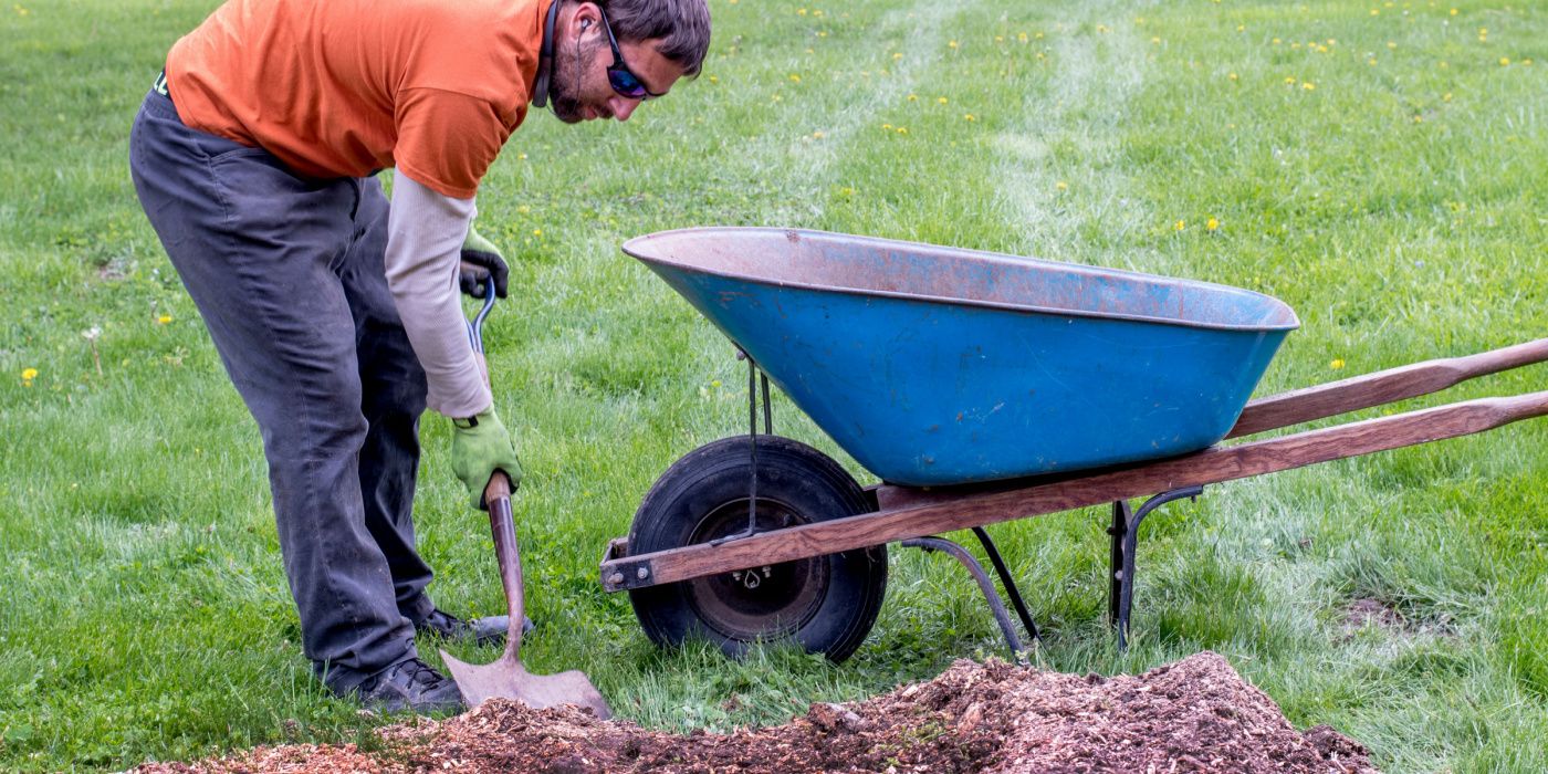 4 Factors that Determine Stump Grinding Cost