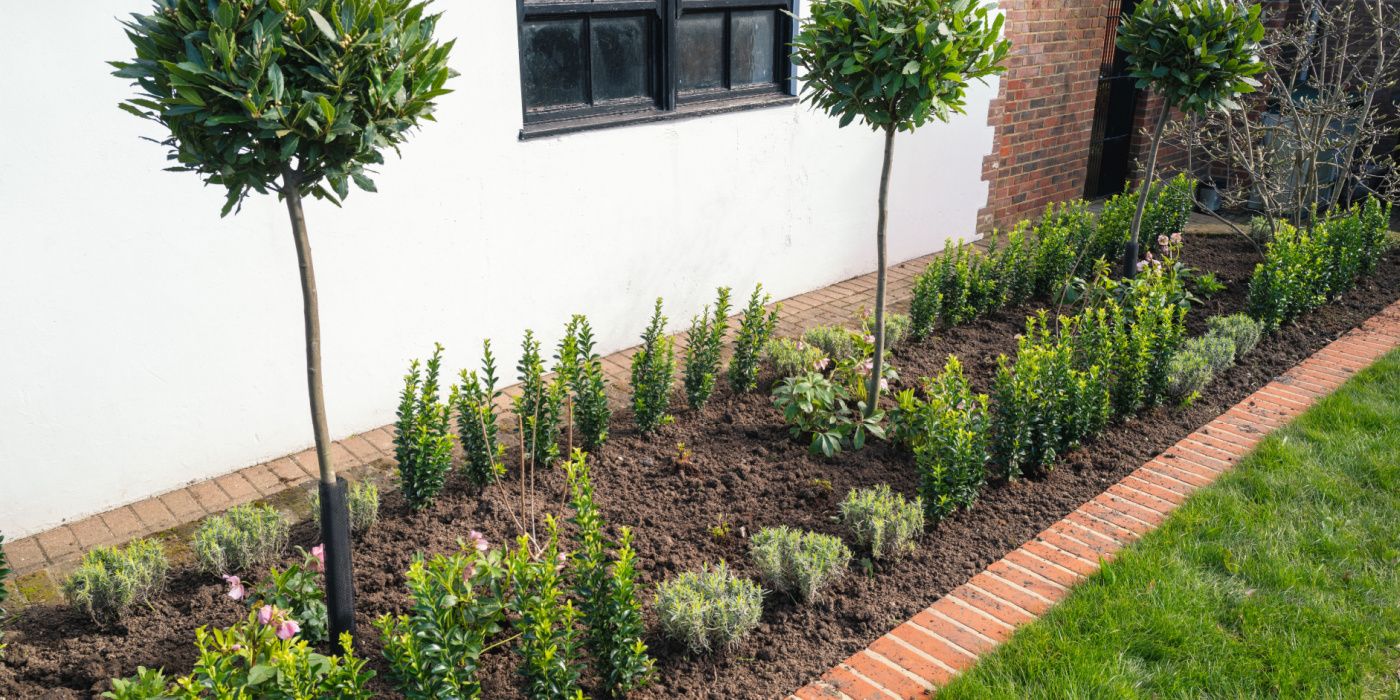 Update Your Home with Unique Garden Edging Ideas