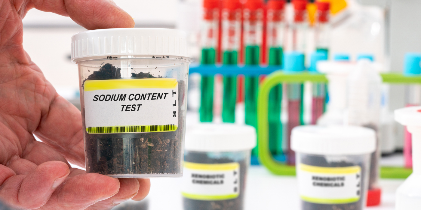 How to Fertilize Pear Trees