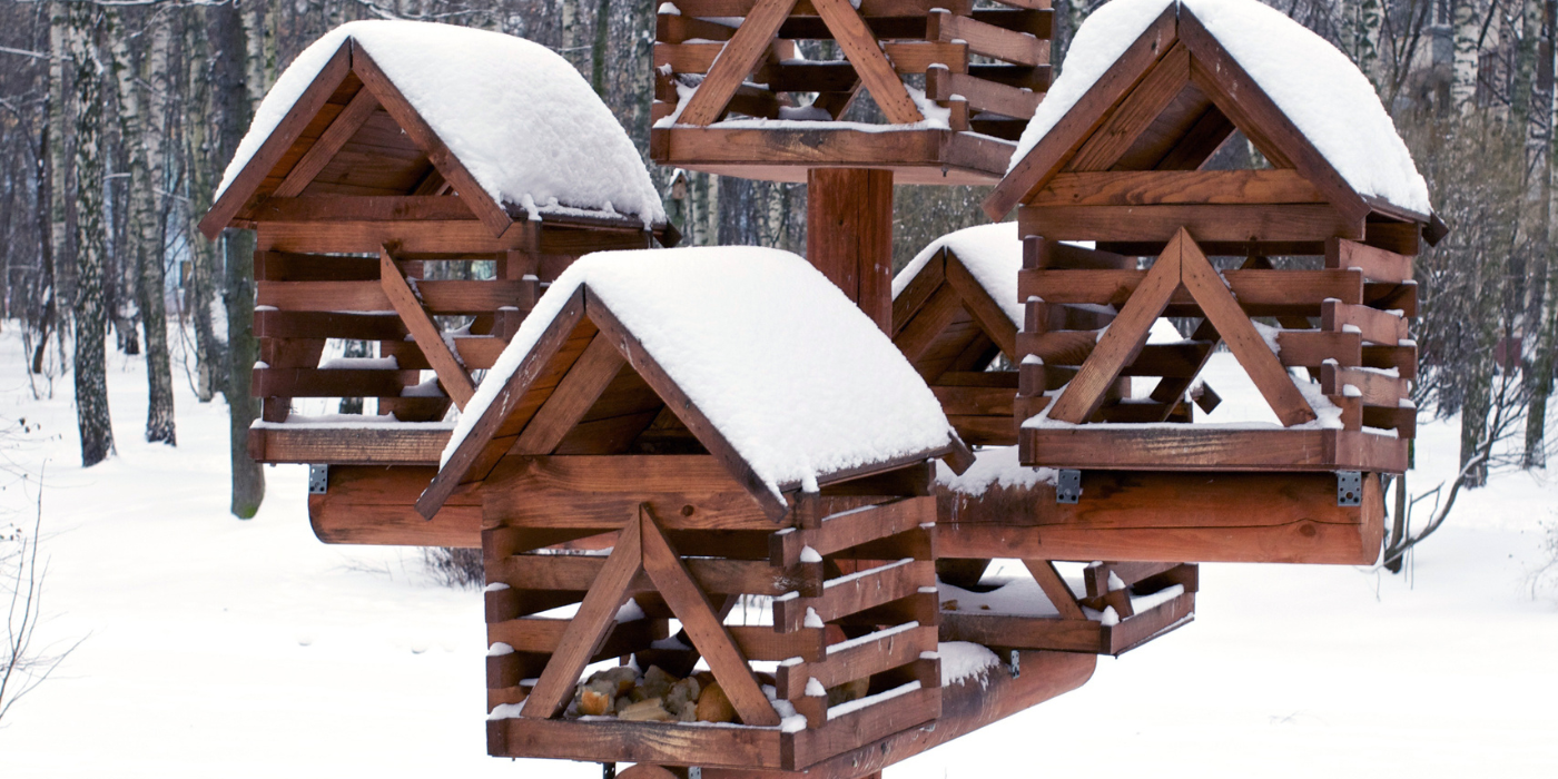 Learn How To Help Birds In Winter With These Tips