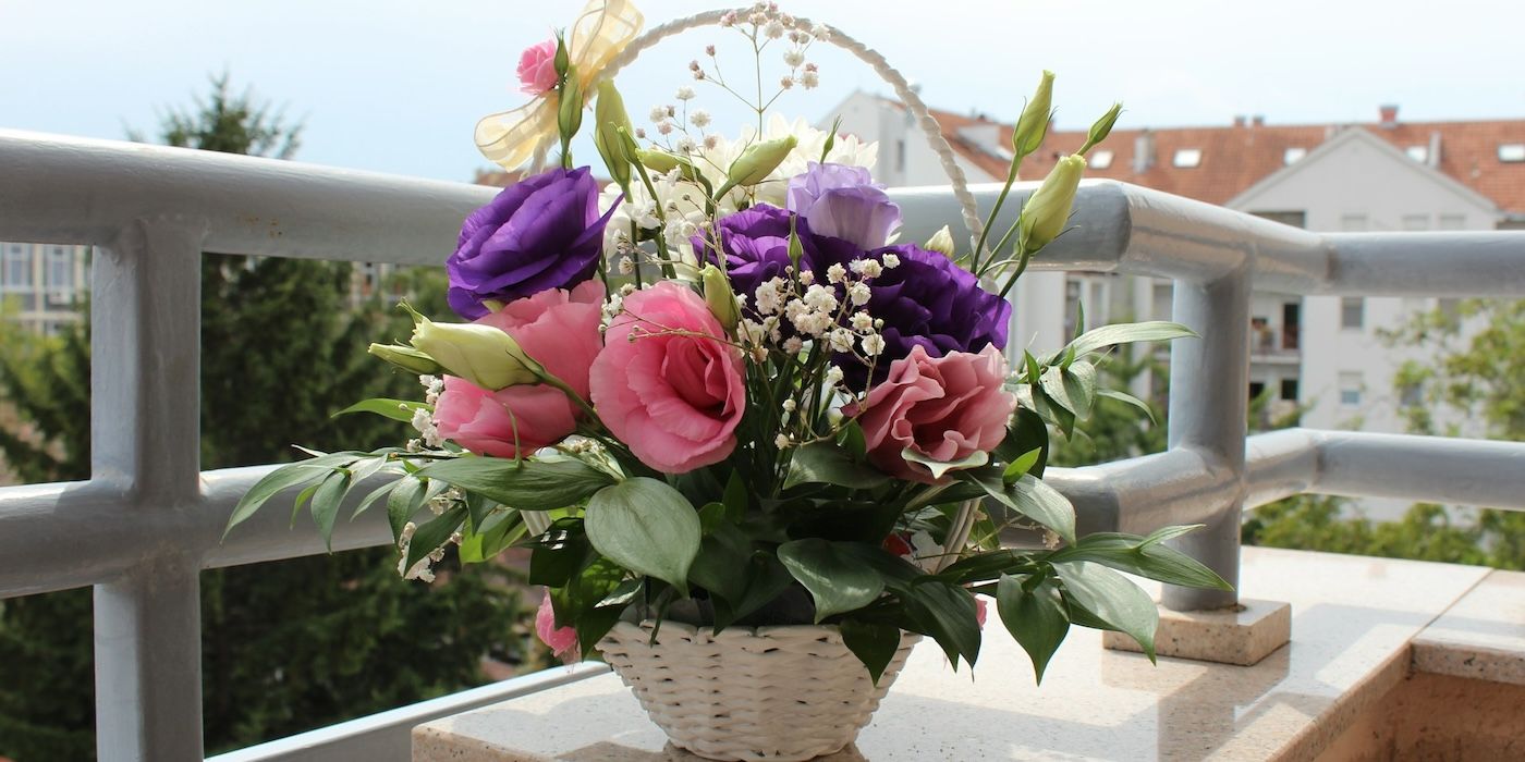 Creating a Stunning Display: A Guide to Flower Arrangement