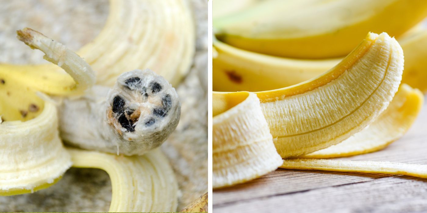 6 Fruits and Vegetables That Look Nothing Like They Once Did