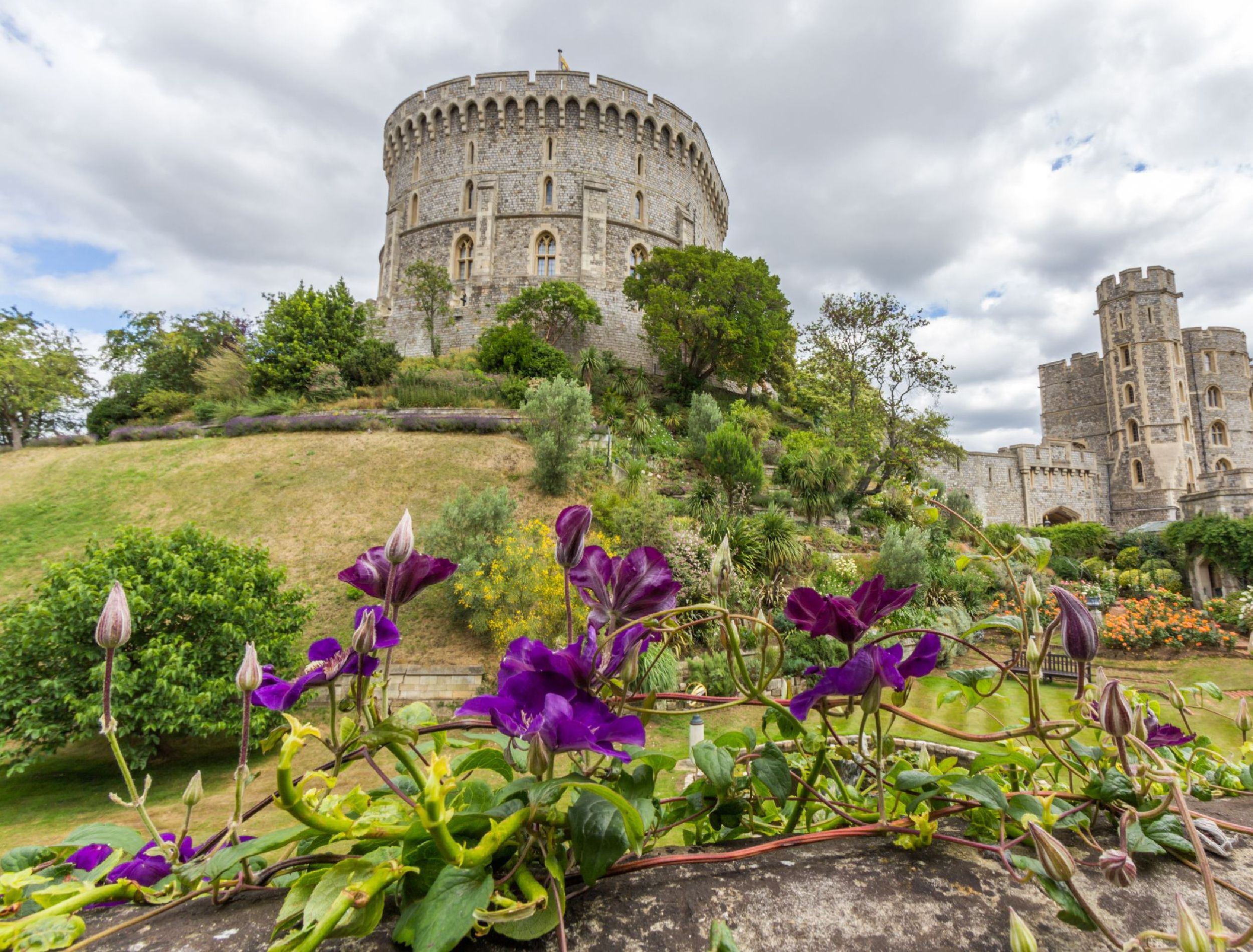 8 Naturalized Landscaping Ideas