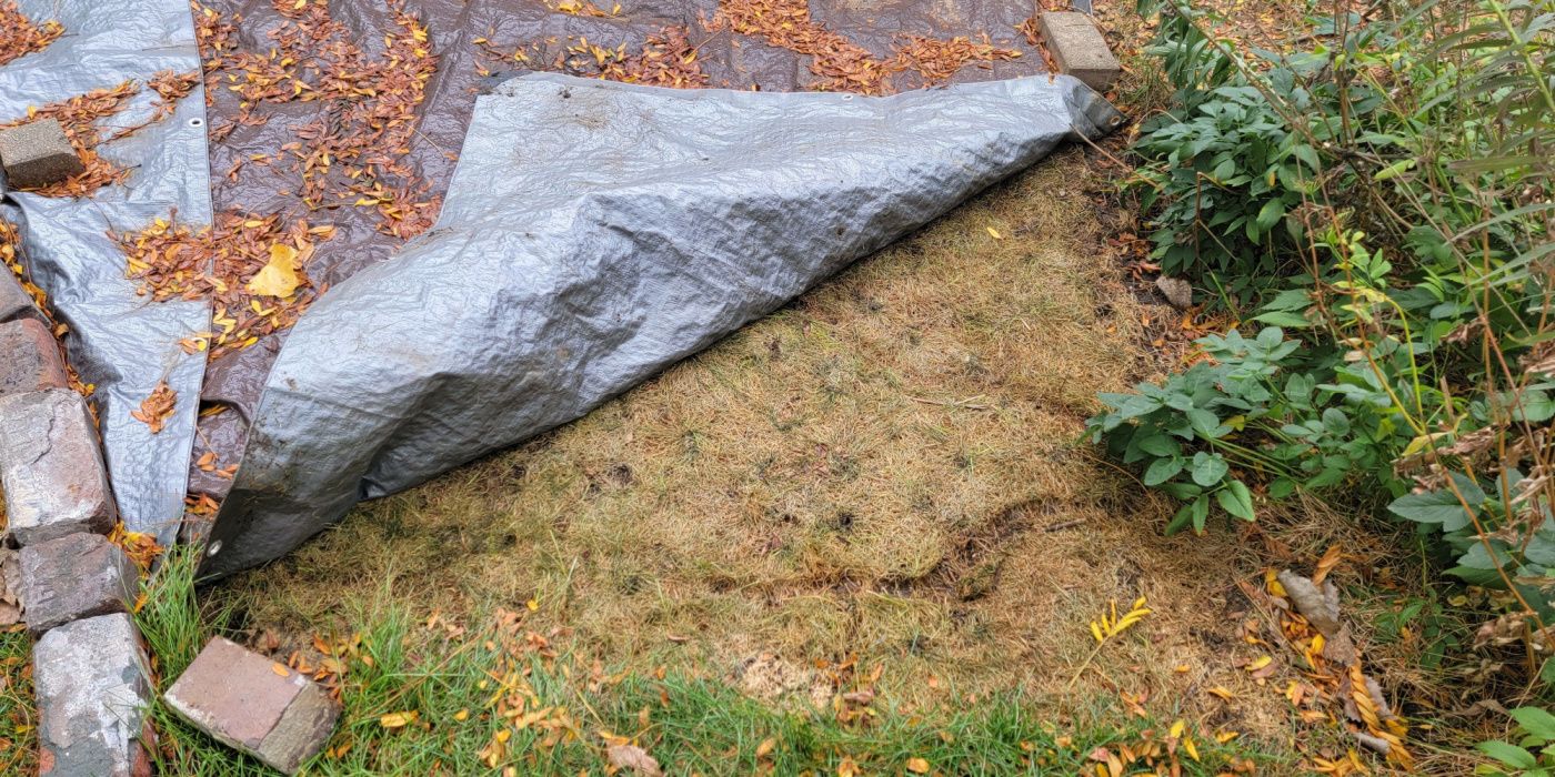 9 Genius Hacks to Tackle Driveway Snow Removal