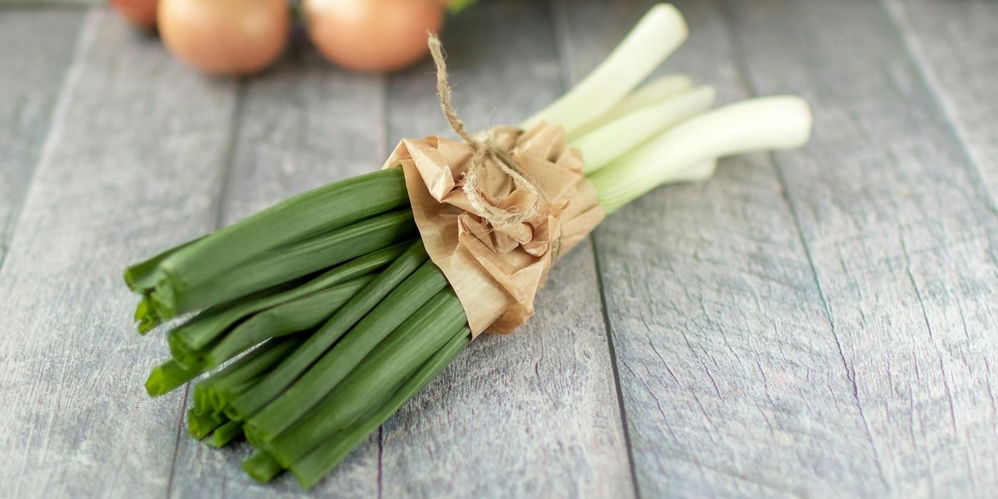 Choose Weather Resistant Plants For Strong Landscaping