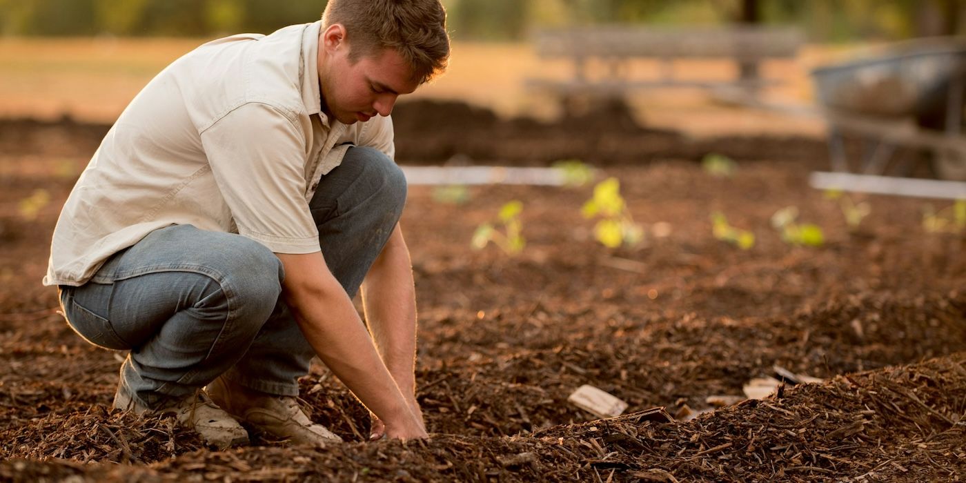Discover Interplanting: Can It Work for Your Garden?