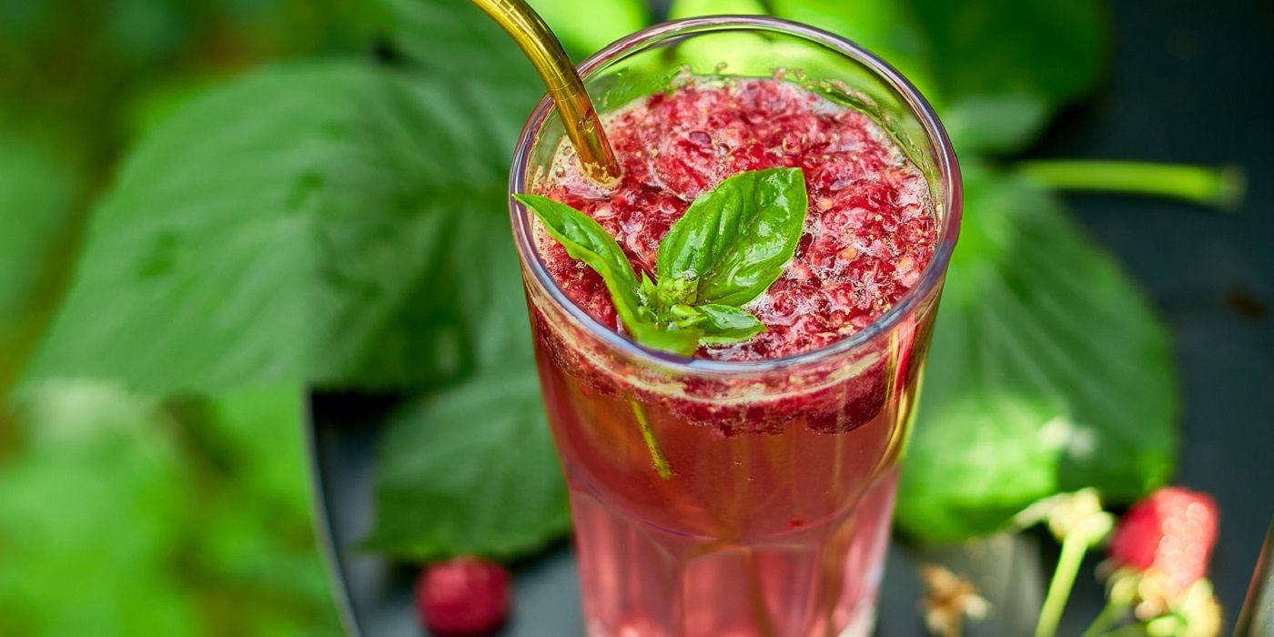 Herbal Mocktail Recipes: Grow Drinks at Home