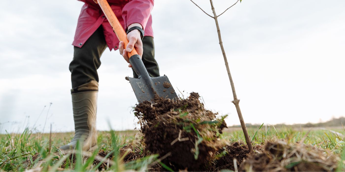 The Joy of Gardening: A Natural Path to Better Health and Happiness