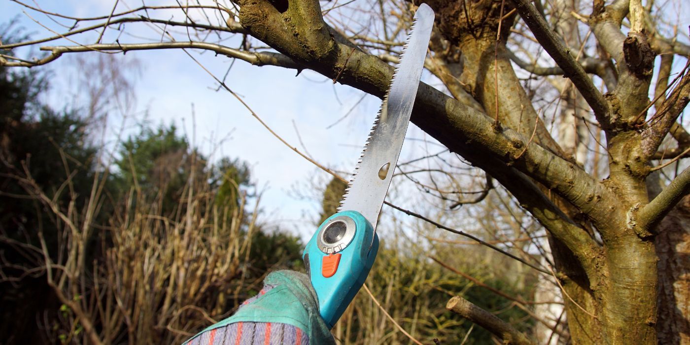 5 Must-Do Yard Clean Up Activities For Spring