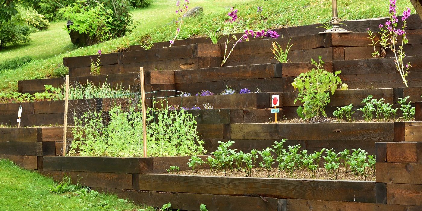 How to Get Started With Urban Homesteading