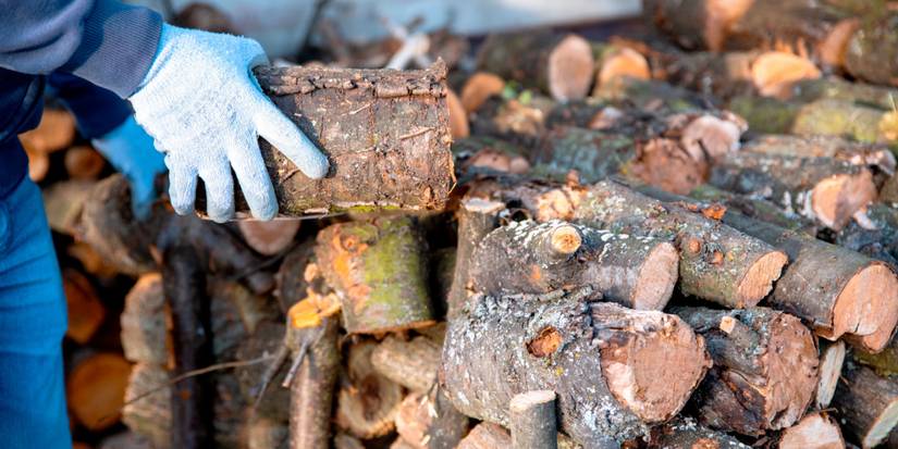 Backyard Fire Pit Essentials: What Wood to Burn and What to Avoid