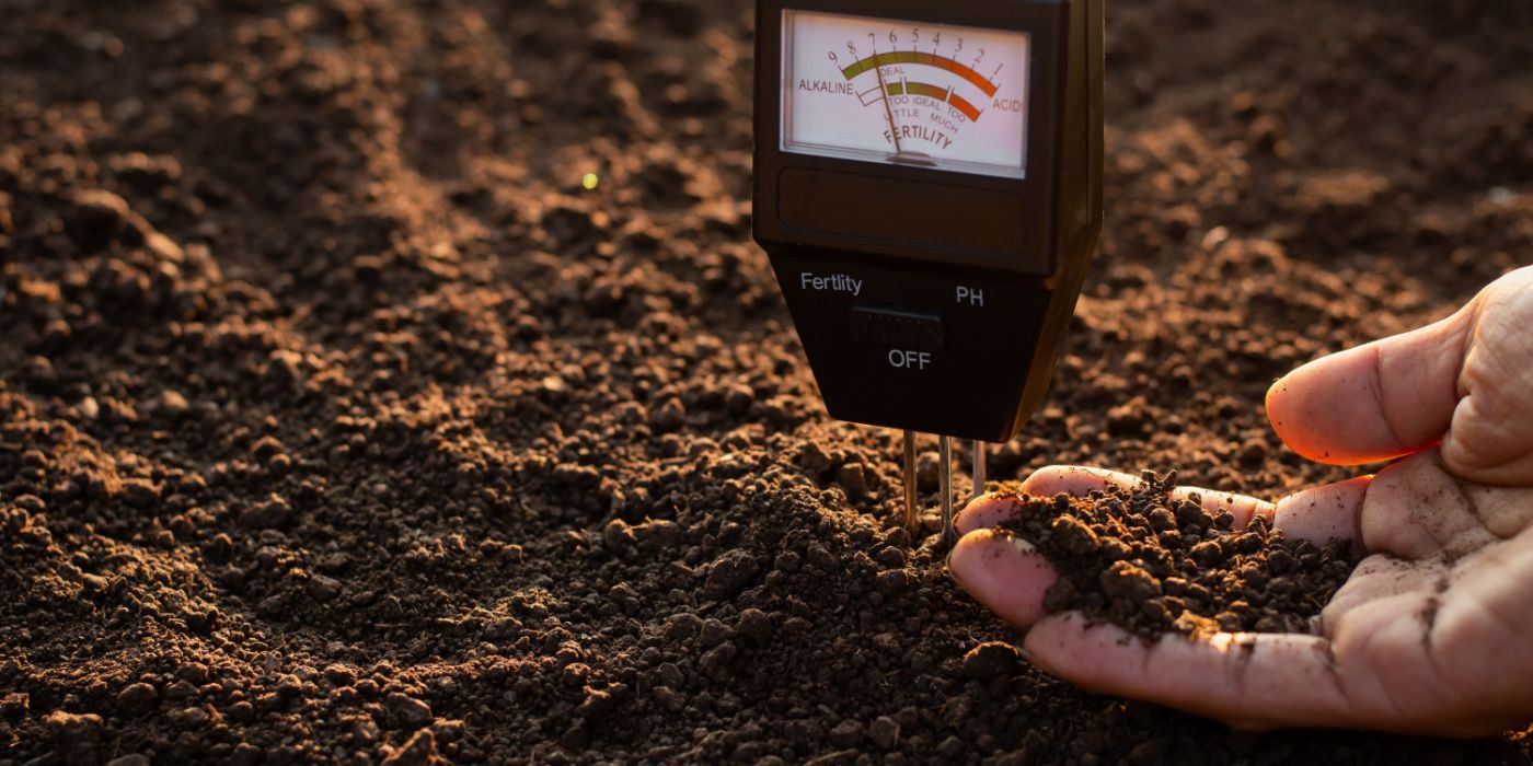 The Role of Electronic Soil in Modern Gardening