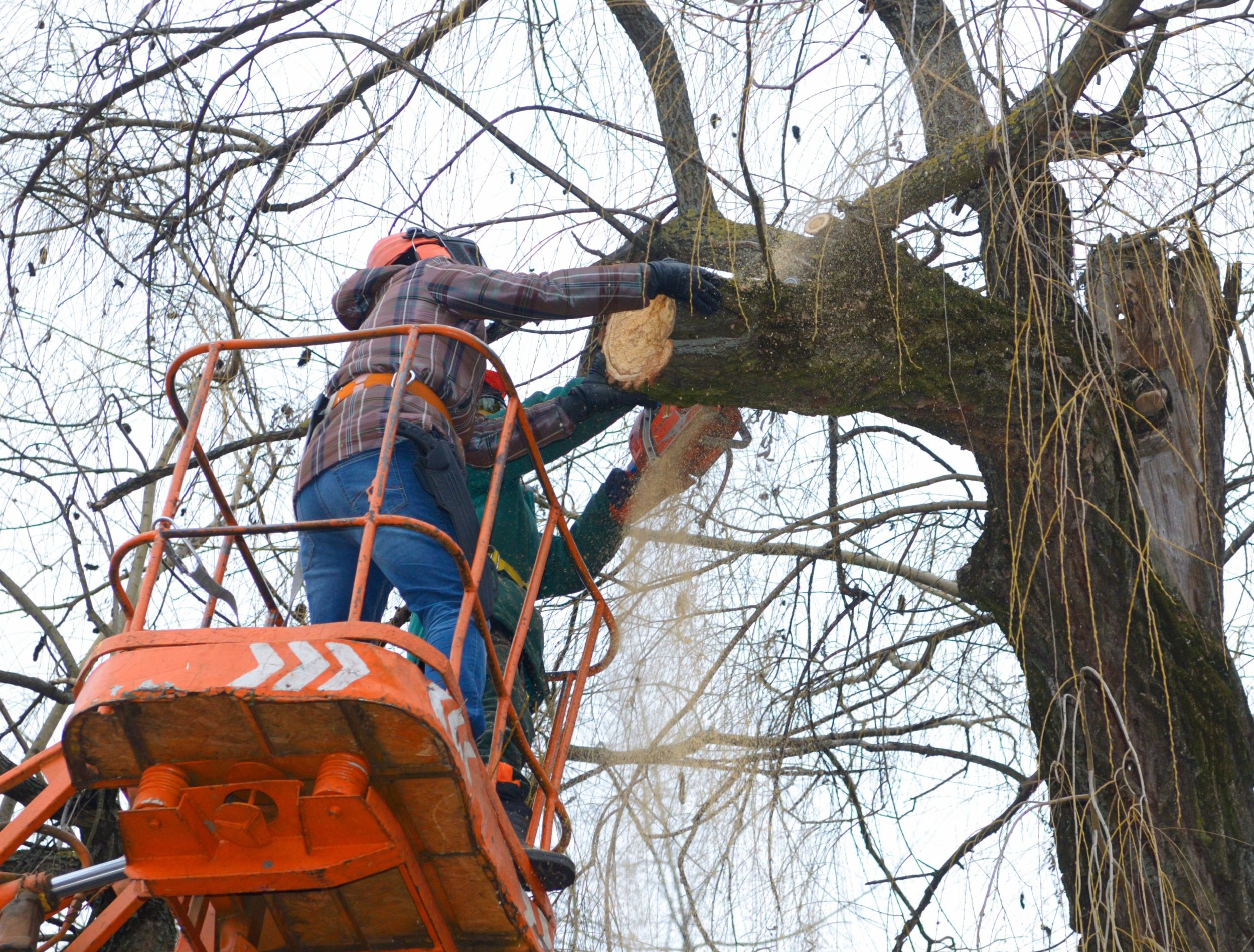 Upside-Down Christmas Trees Meaning & Ideas