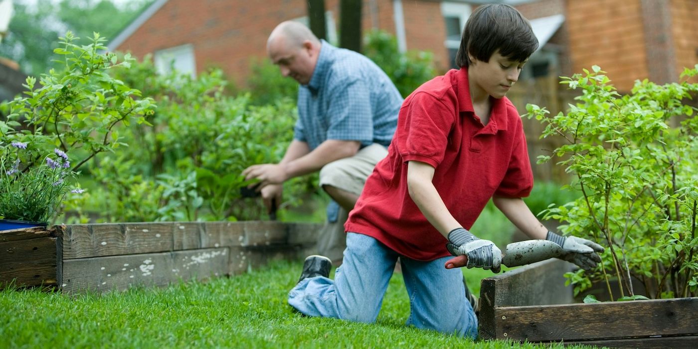 Winter Gardening: How to Make Your Garden Shine All Season