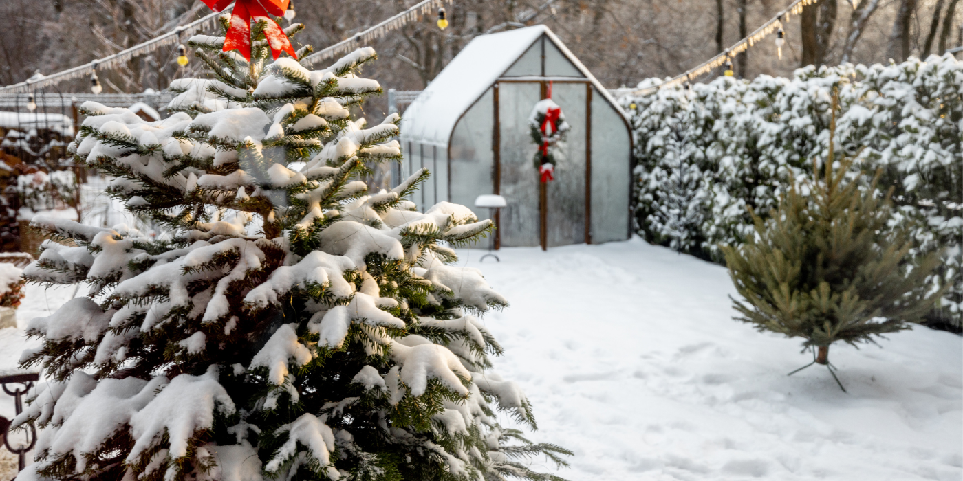 6 Reasons You Want to See Snow in the Garden