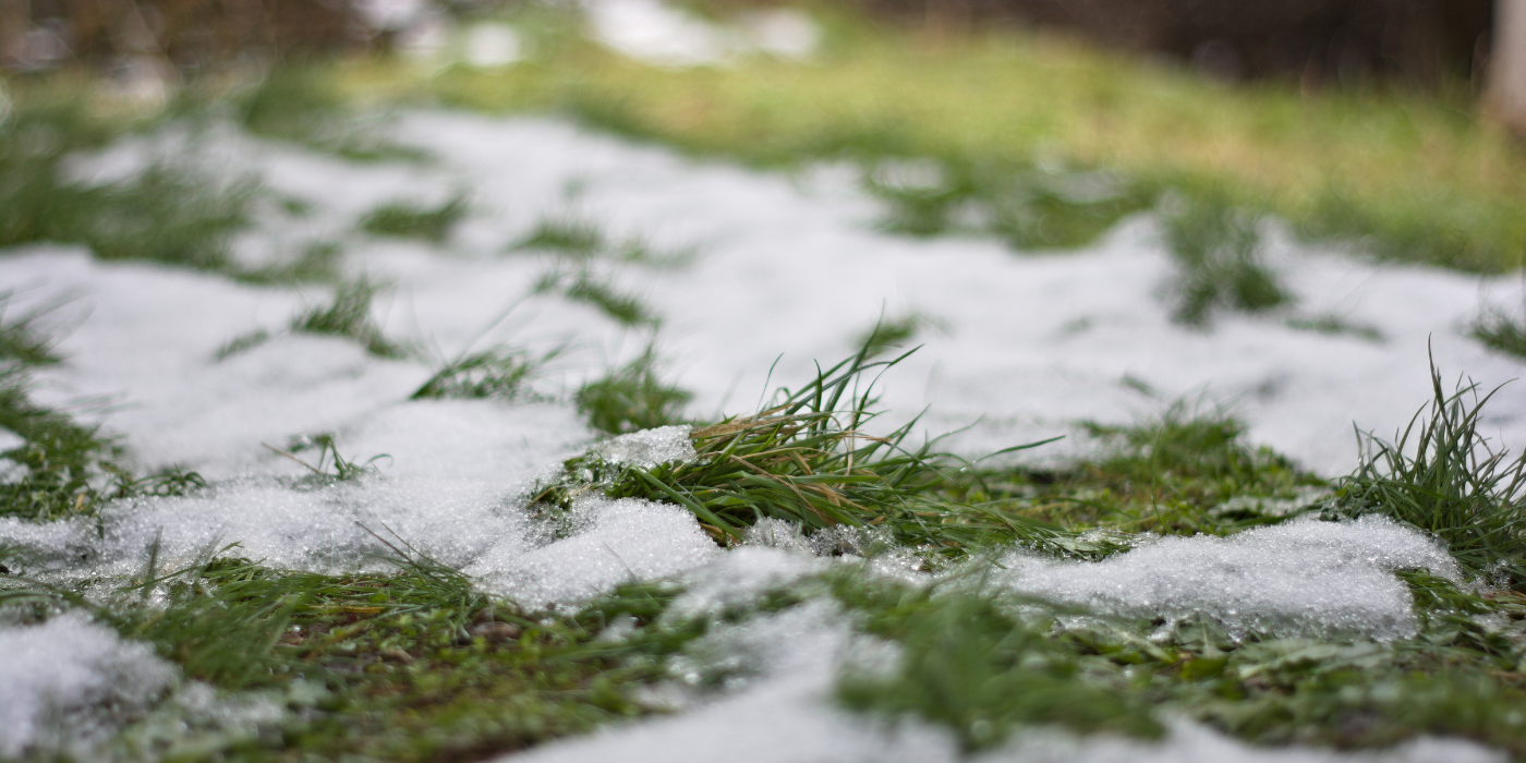 6 Reasons You Want to See Snow in the Garden