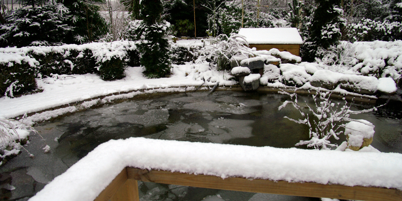How to Care for Garden Ponds in Winter
