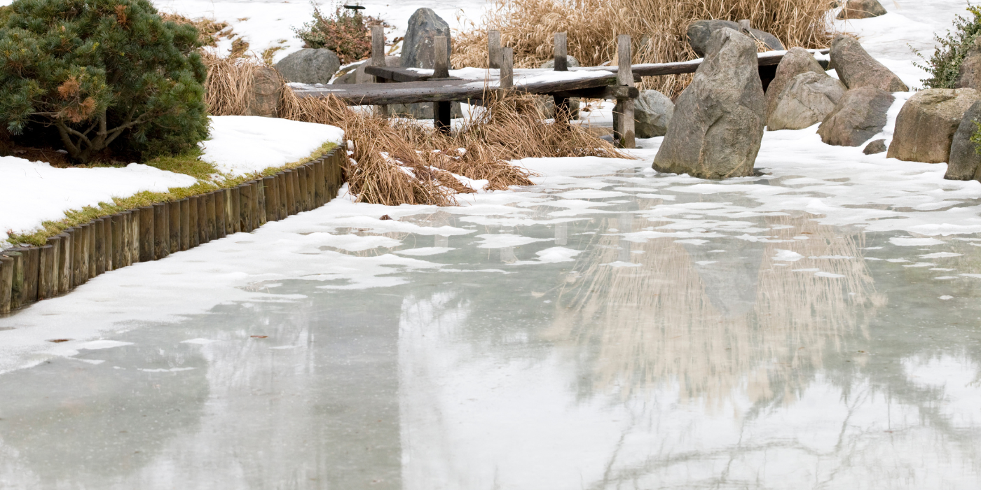 How to Care for Garden Ponds in Winter