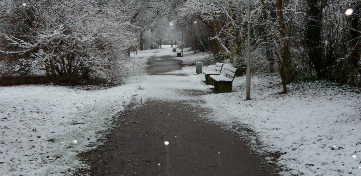 Seven Winter Landscaping Ideas Focusing on Sustainability