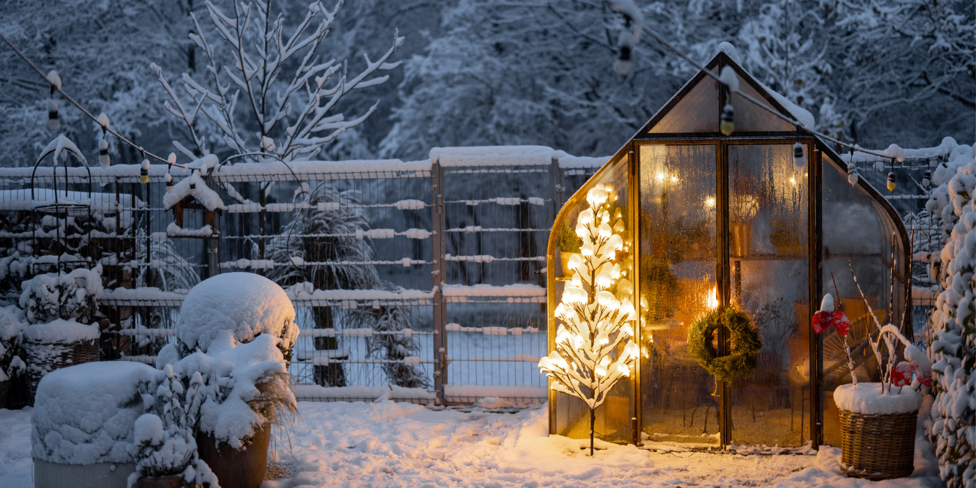 6 Winter Garden Ideas to Elevate Your Outdoor Space