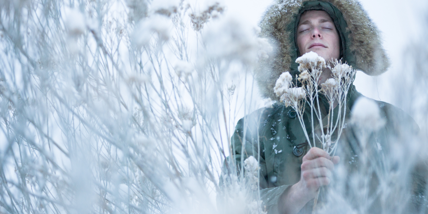 Create a Winter Scent Garden With 4 Aromatic Plants