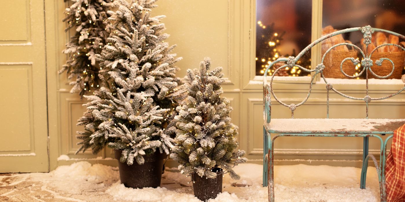 6 Winter Garden Ideas to Elevate Your Outdoor Space