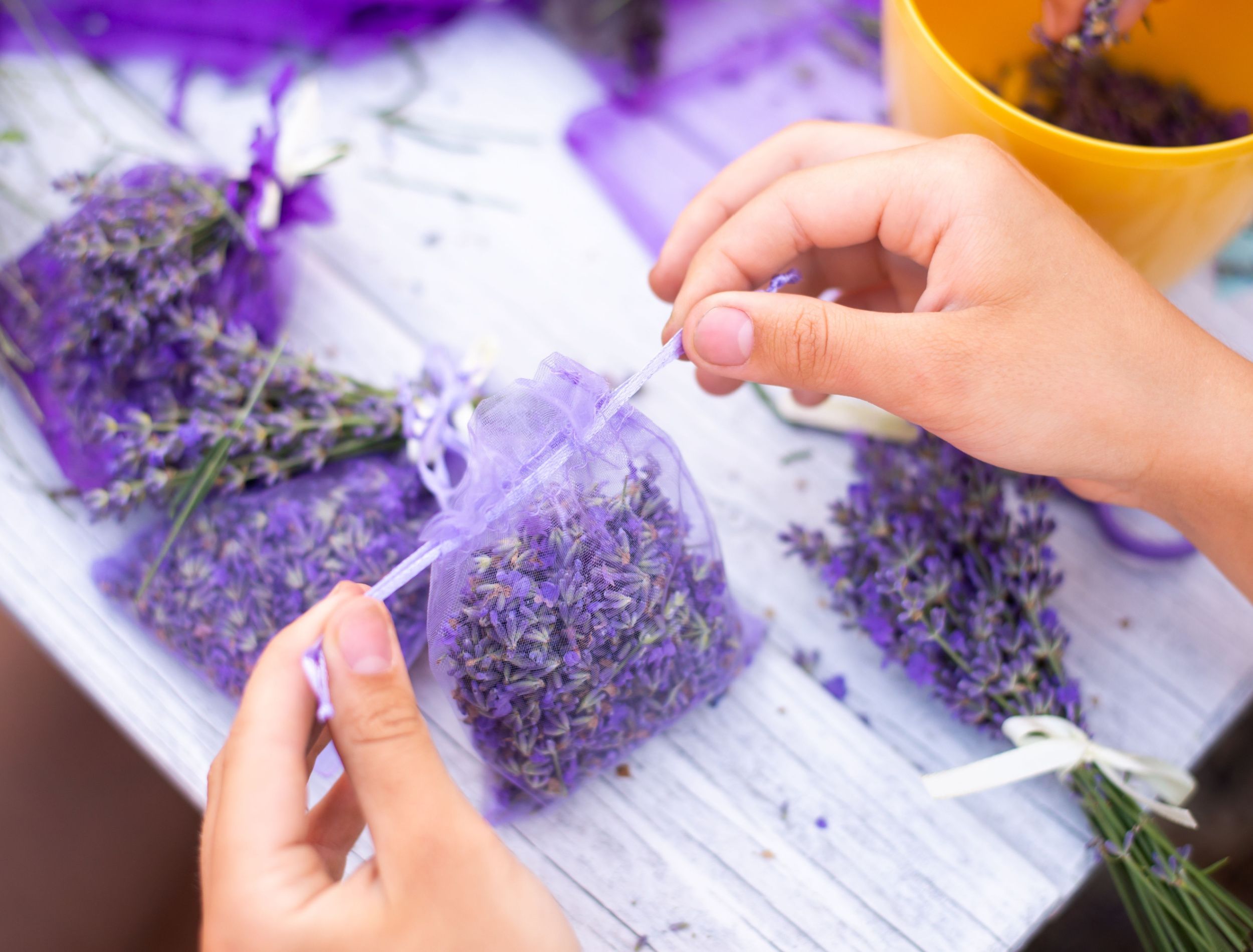 Herbal DIY Delights: Crafting Projects That Go Beyond the Kitchen