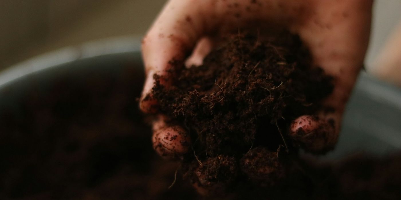 How to Build a Window Garden