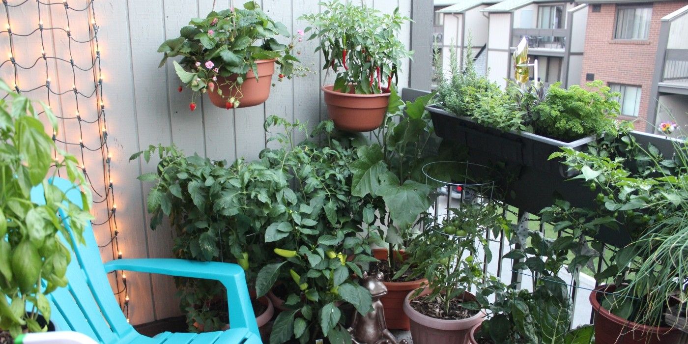 How to Plan a Balcony Garden For Spring