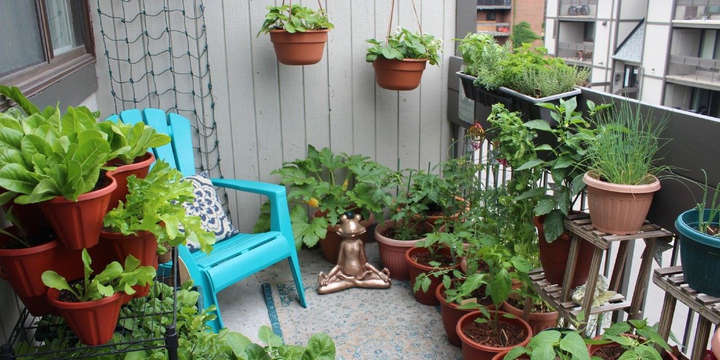 How to Plan a Balcony Garden For Spring