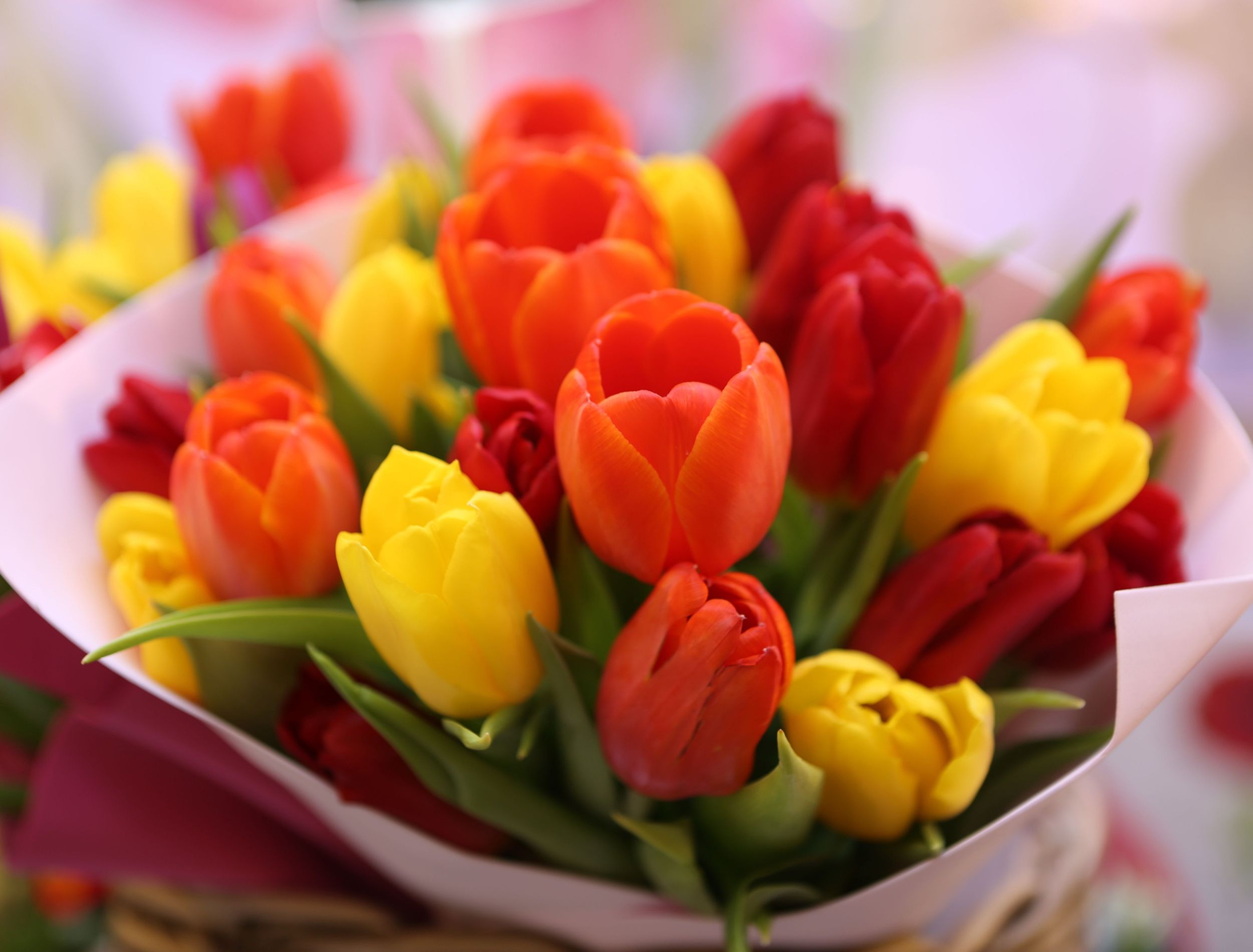 Roses are Overrated: Say it Better with This Flower