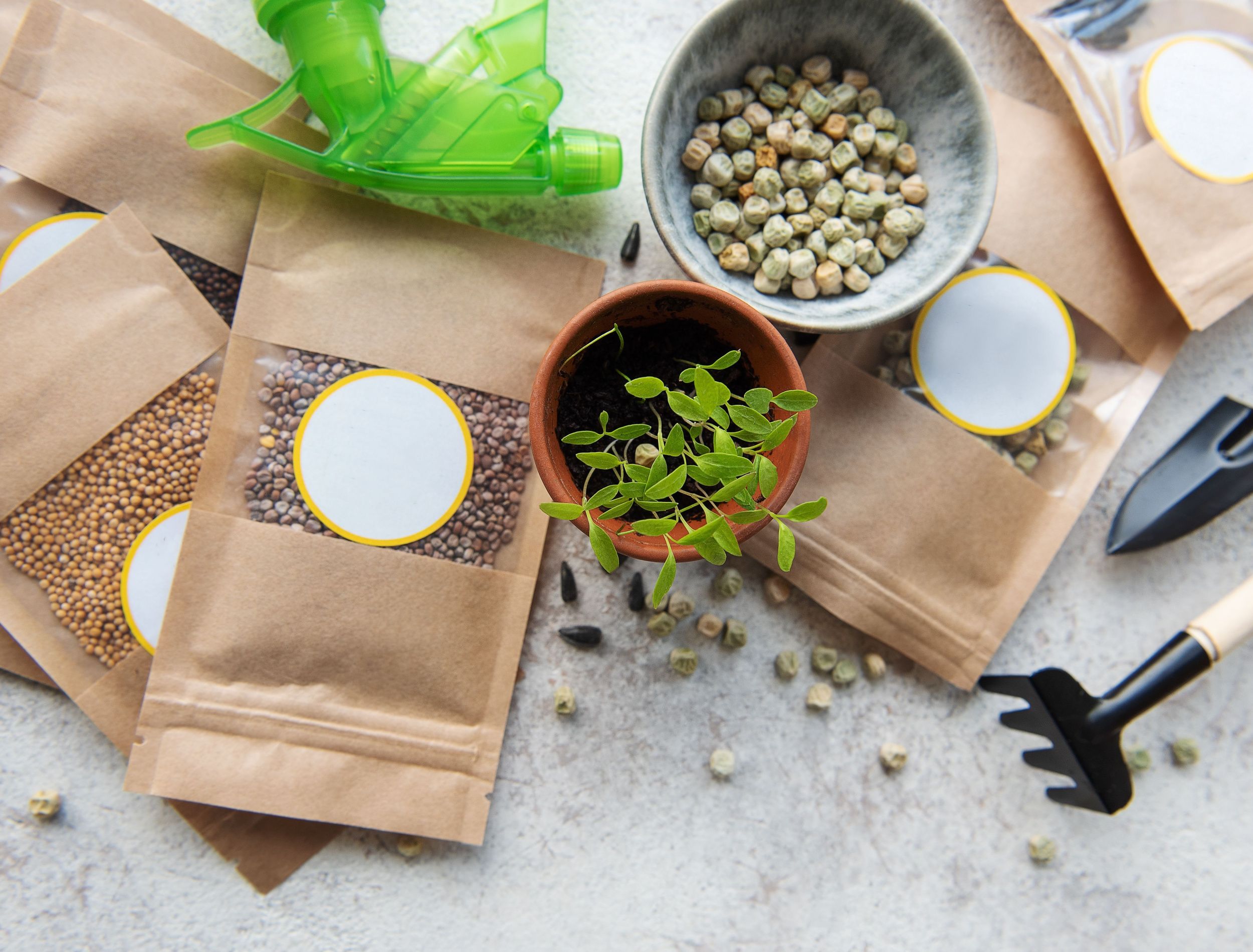 Can You Still Plant Old Seeds?