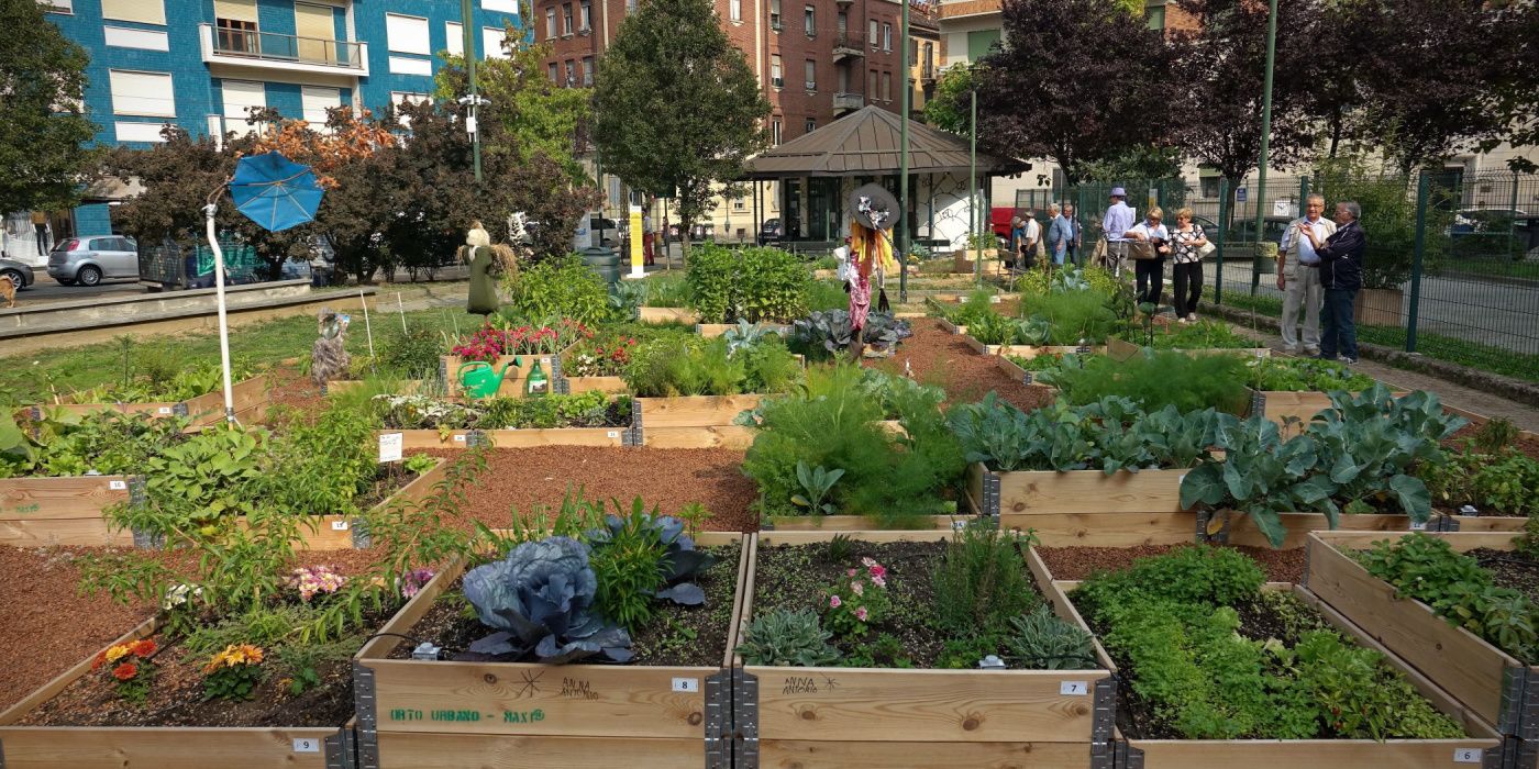 A Guide to Effective Crop Rotation in Home Gardening