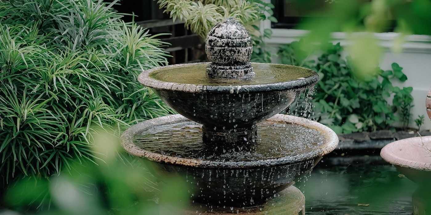 Stunning Focal Points for Your Backyard