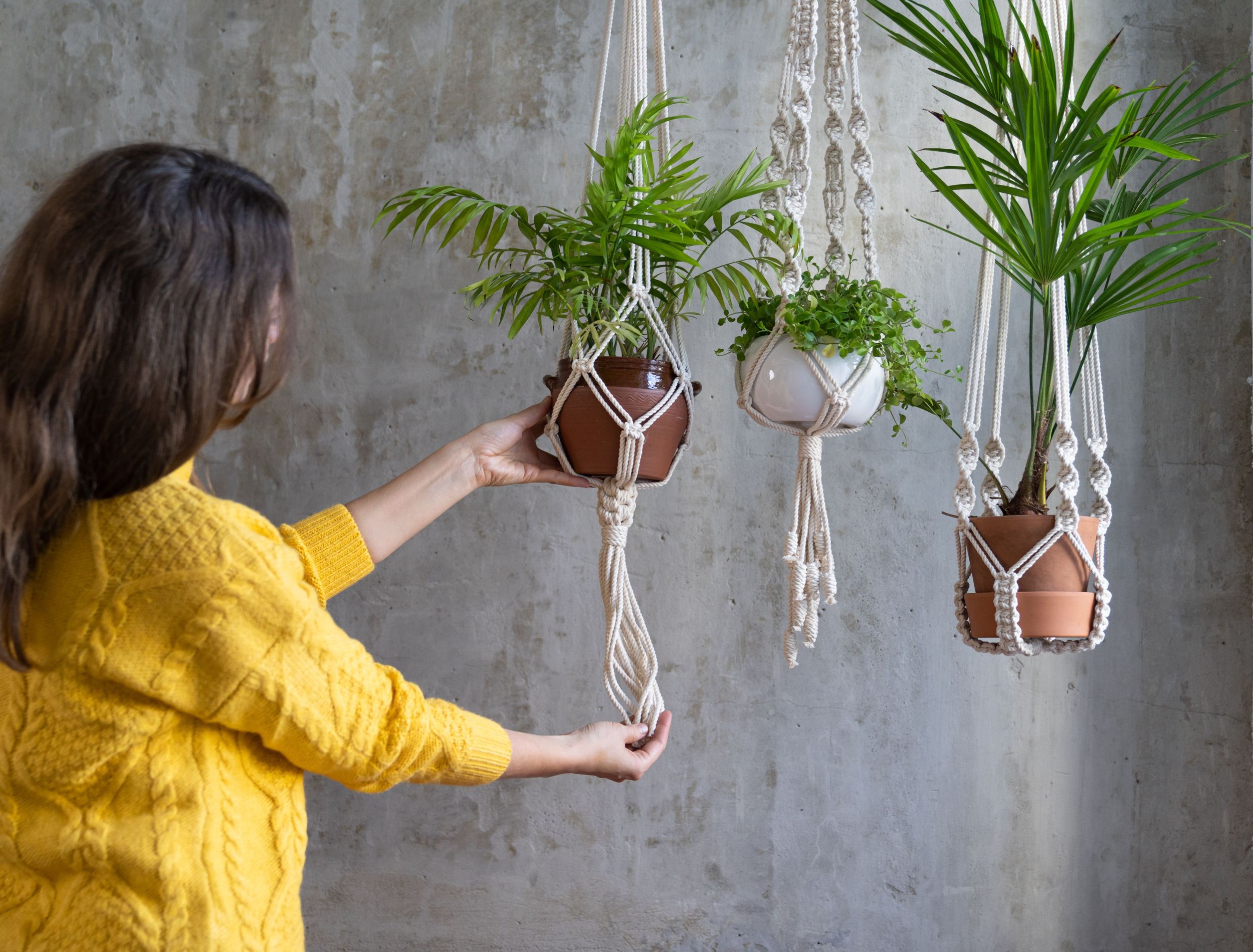 Try These Houseplant Trends in Your Home Decor