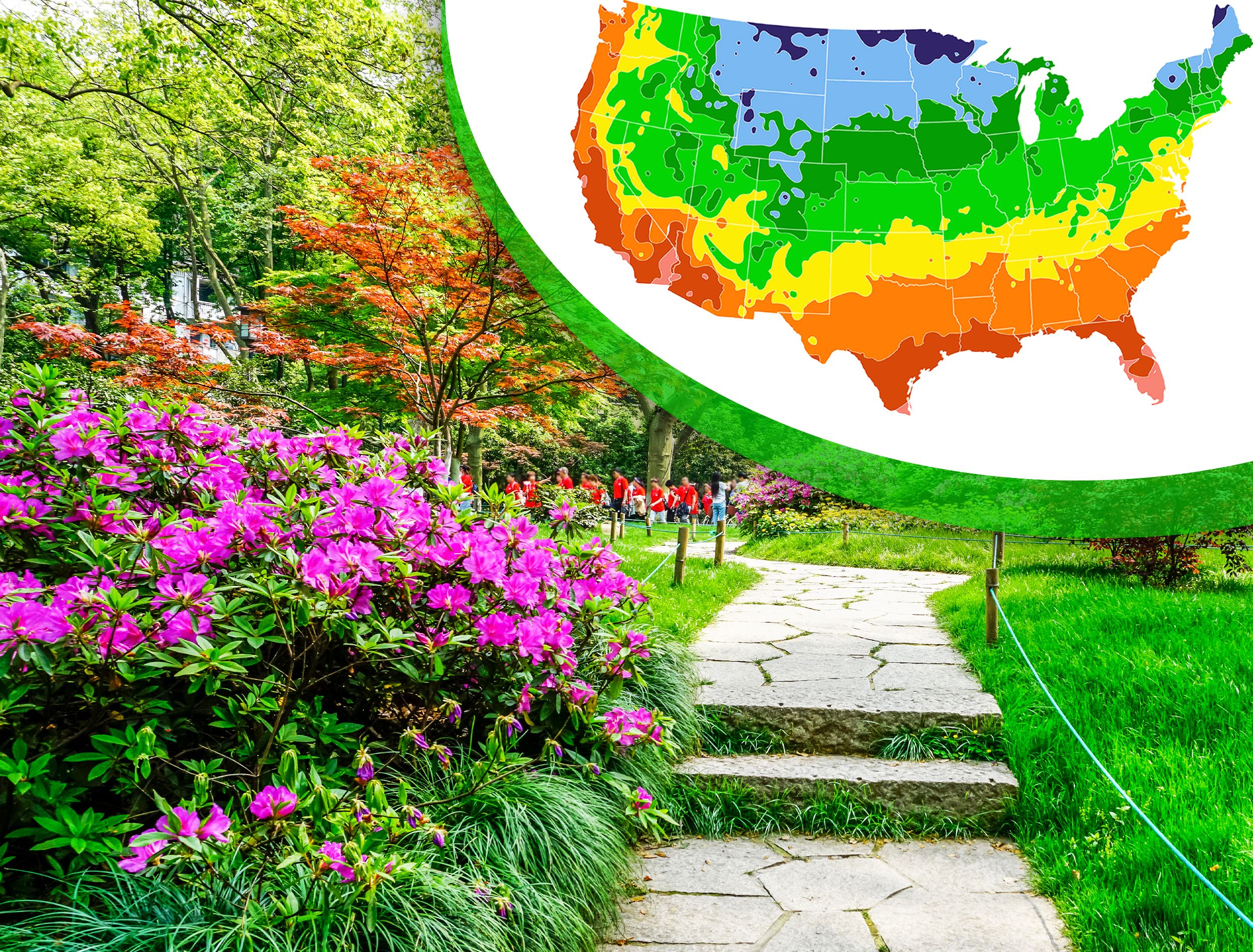 Adapting to The 2023 USDA Hardiness Zone Updates