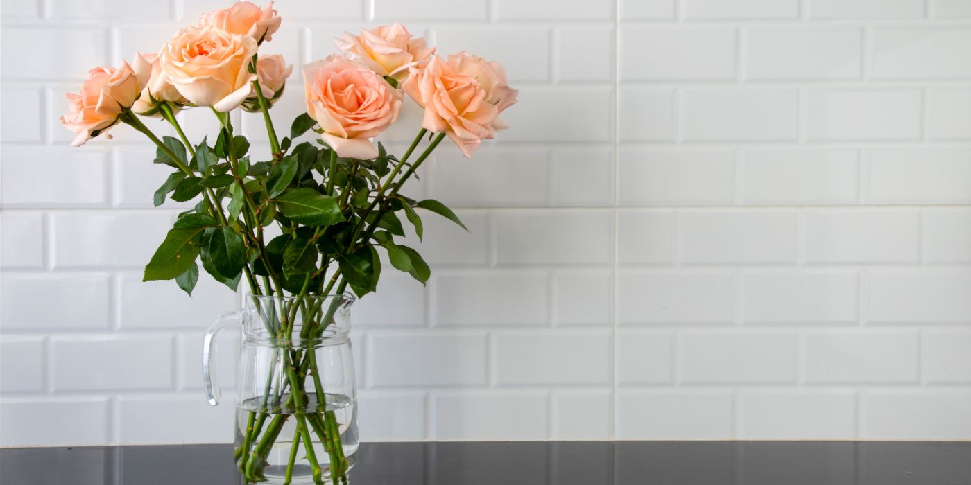 Clever Ways to Add Peach Fuzz Colors to Your Decor Clever Ways to Add Peach Fuzz Colors to Your Decor