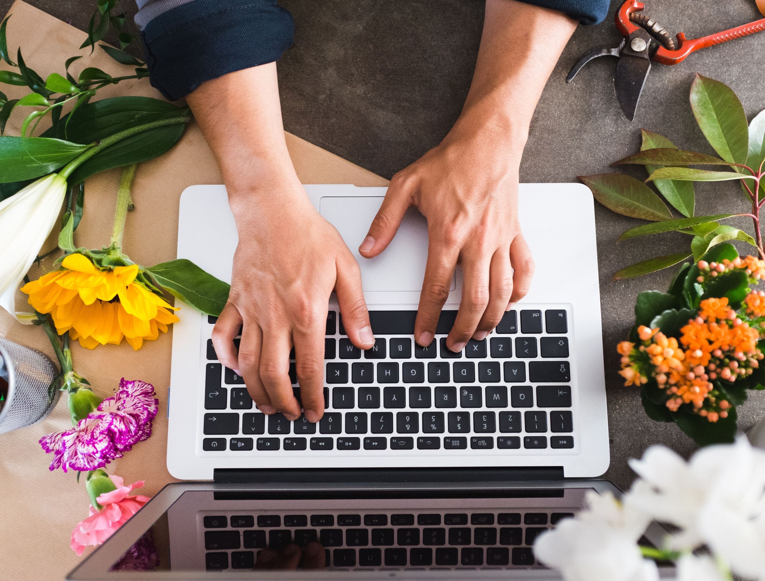 How to Deter Pests in the Garden with Cayenne Pepper